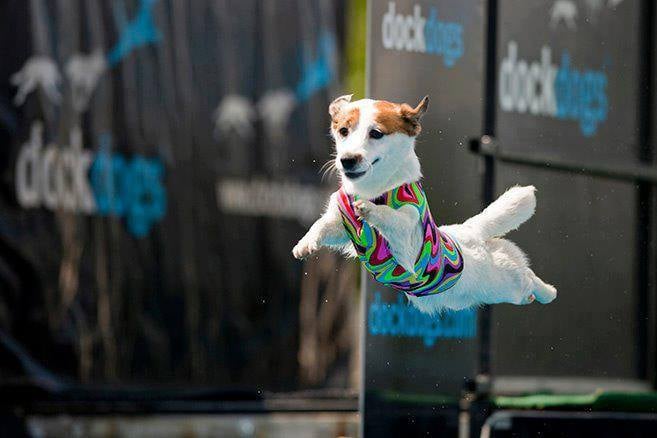 Delmarva Dockdogs at National Hard Crab Derby | 96.5 &101.5-CTG - The ...